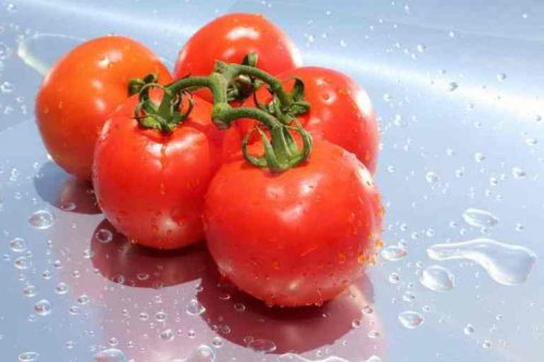 Las Mejores Recetas Veganas Altas En Proteína Y Fáciles De Preparar